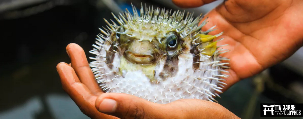 Everything you need to know about Fugu : The deadly Japanese fish – My ...